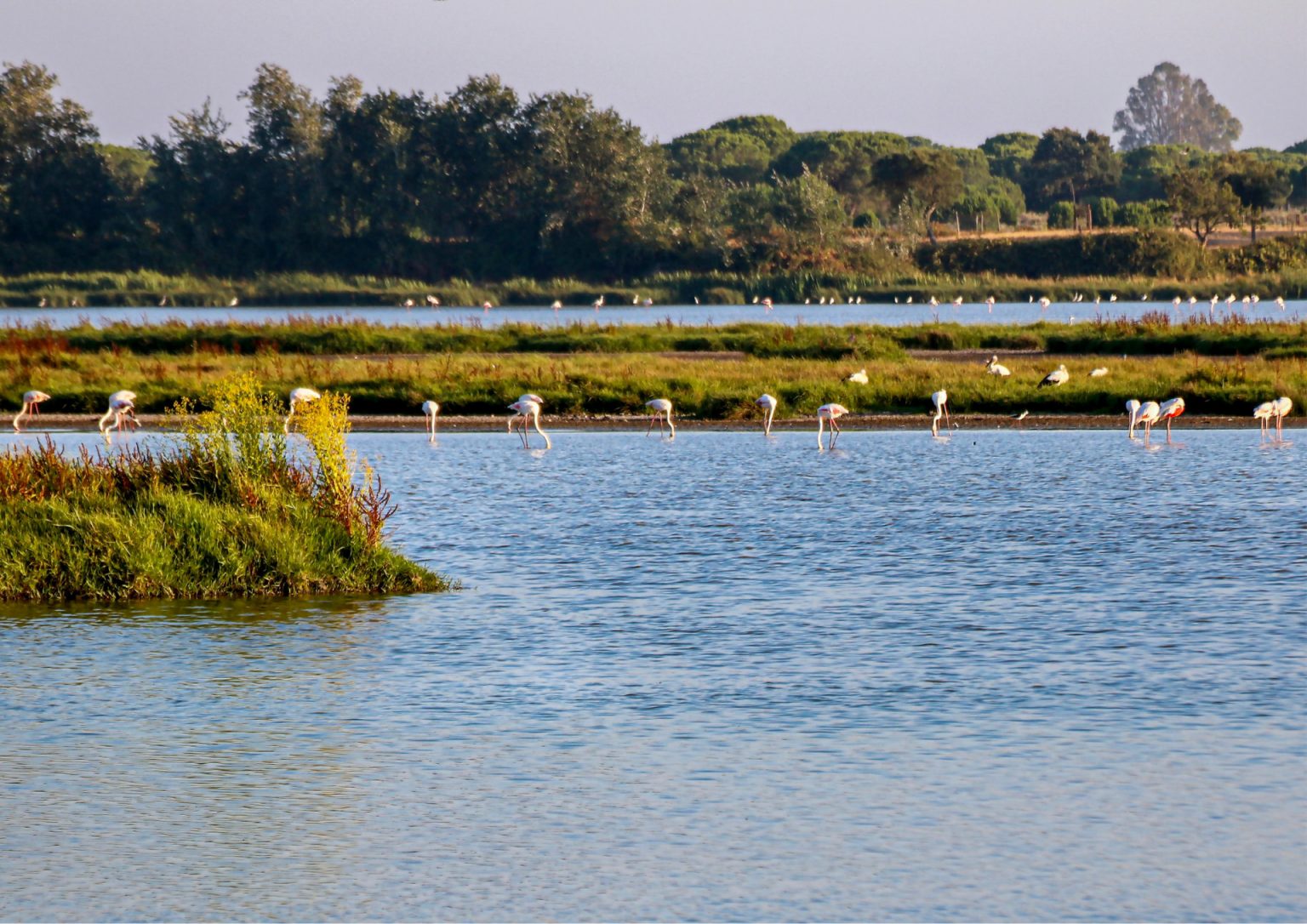 ¿Qué es Senderos del Rocío? - Senderos del Rocío